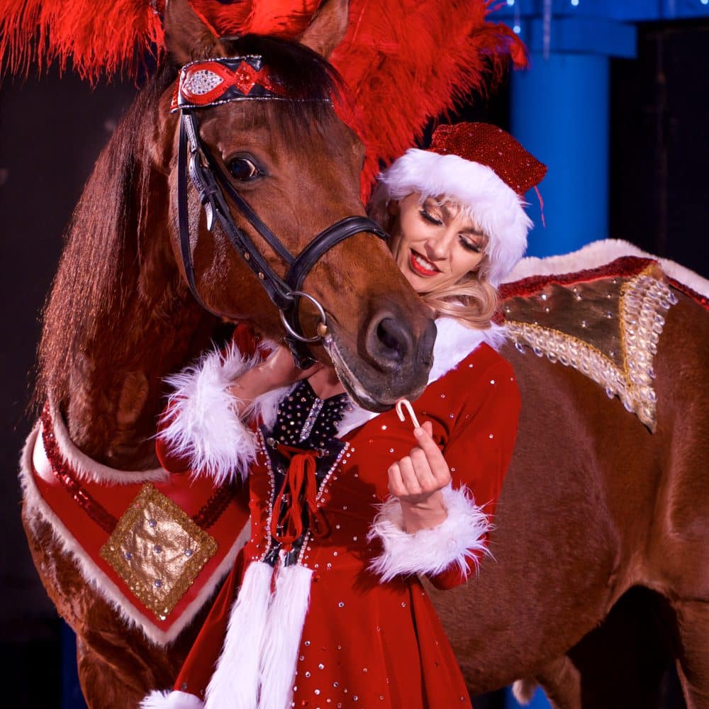 Shop - The Dancing Horses Theatre